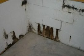 Crawlspace Mold & Mildew in CT | Residential ResQ